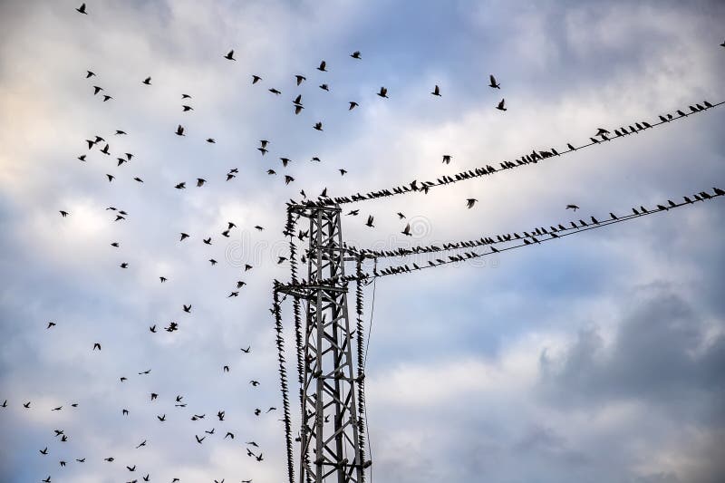 786 Power Line Air View Stock Photos - Free & Royalty-Free Stock Photos ...