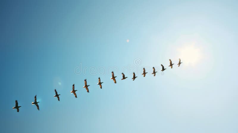 A Flock of Birds Flying in a V Formation Against Blue Sky with Sun ...
