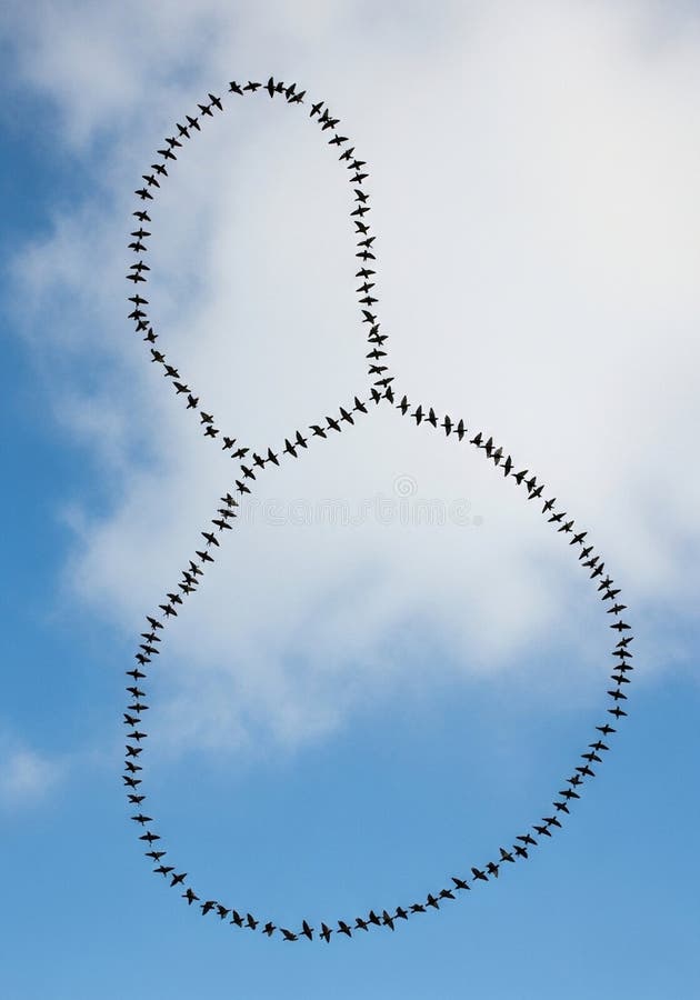 Crane Flock Pattern Stock Illustrations – 215 Crane Flock Pattern Stock ...