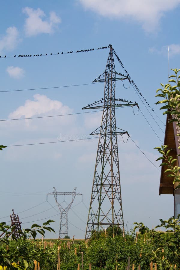 High Voltage Power Poll stock image. Image of energy - 230932341