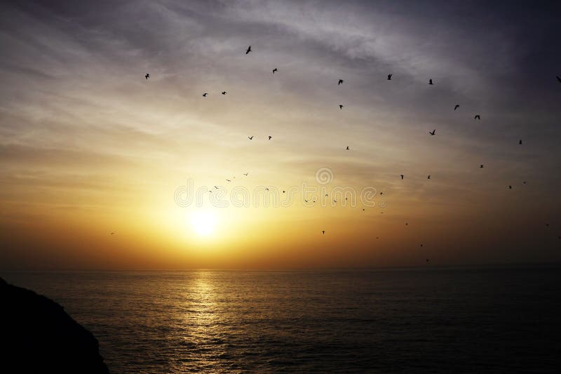 Birds Flying into the Sky at Sunset with Sun Setting Behind Them Stock ...