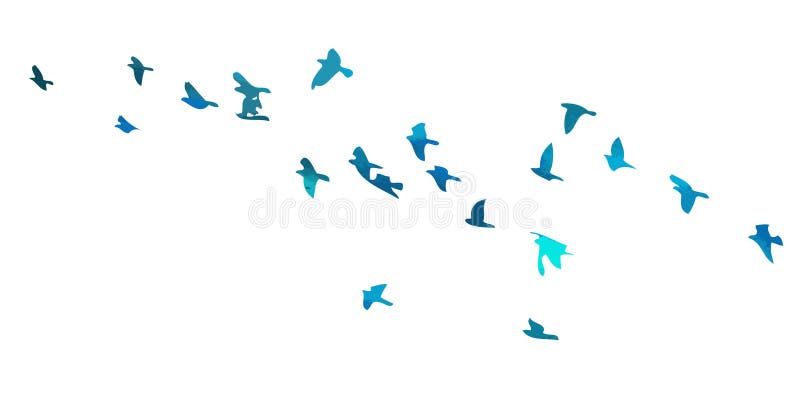 A Flock of Blue Birds. Hand Drawing. Not AI. Vector Illustration Stock ...
