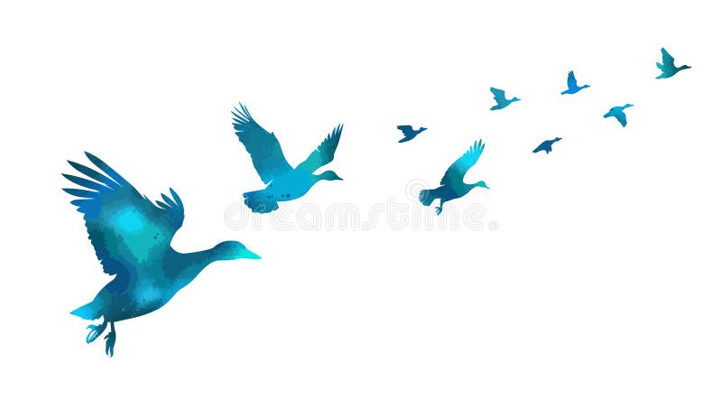 A Flock of Blue Ducks Flying. Hand Drawing. Not AI Stock Vector ...