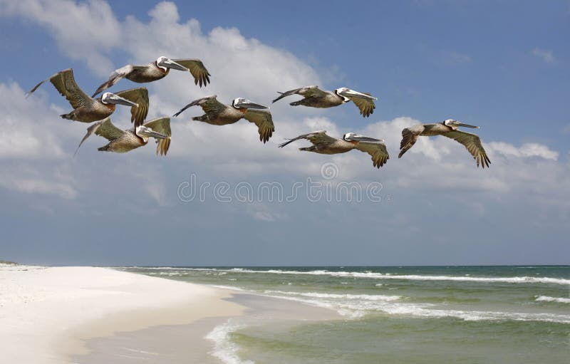 Beach at Lovers Key Florida USA Stock Photo - Image of lovers ...