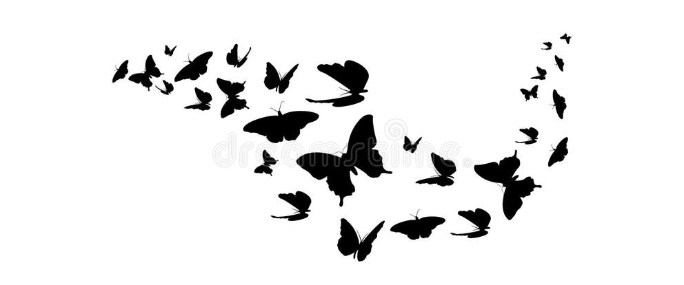 Flock of Butterflies Silhouette. Stock Vector - Illustration of beauty ...