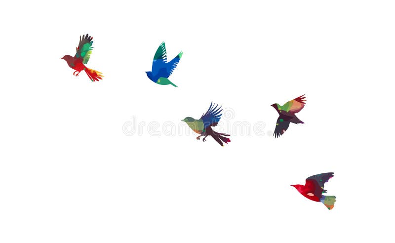 A Flock of Colored Birds. Hand Drawing. Not AI. Vector Illustration ...