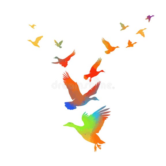 A Flock of Colored Ducks Flying. Hand Drawing. Not AI Stock ...