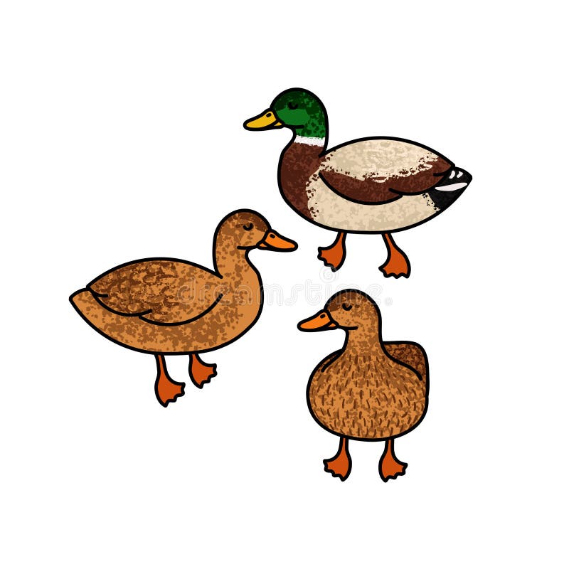 Flock of Ducks Colorful Illustration Stock Vector - Illustration of ...