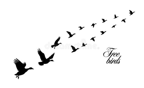 A Flock of Ducks Flying. Hand Drawing. Not AI Stock Vector ...