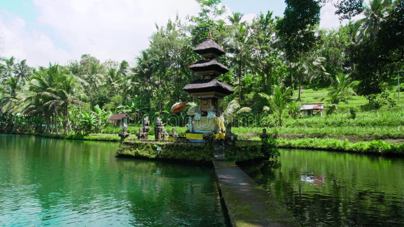 A Fish Swim in an Artificial Lake in Green Water on a Bali Stock Video ...