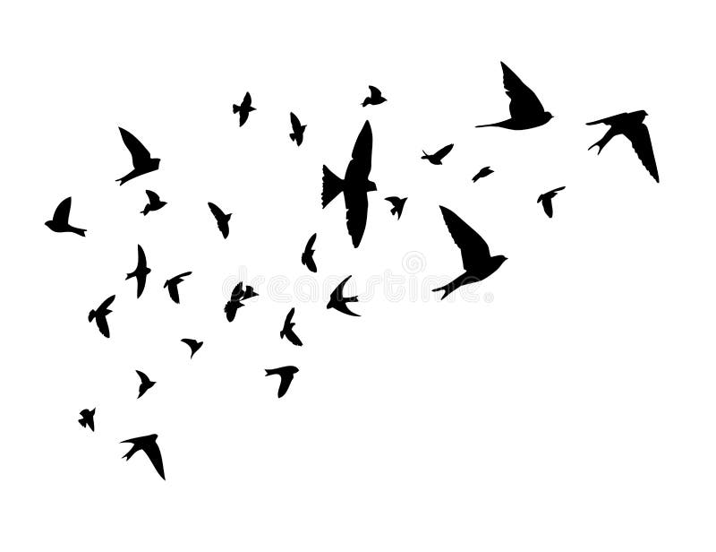 A Flock of Flying Birds. Free Birds. Flying Swallows. Vector ...