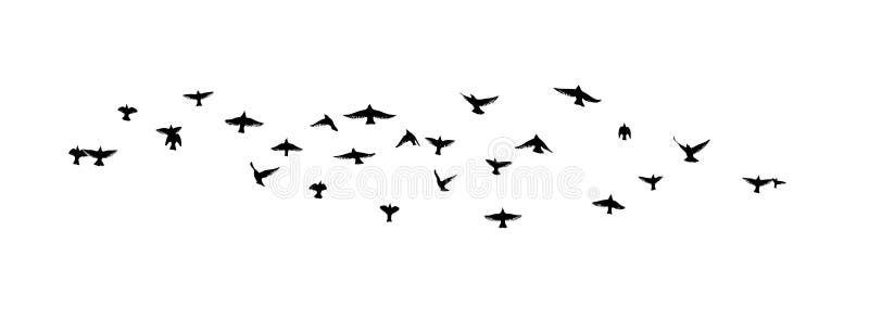 A Flock of Flying Birds. Free Birds. Vector Illustration Stock Vector ...