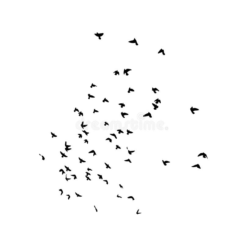 A Flock of Flying Birds. Free Birds. Vector Illustration Stock Vector ...