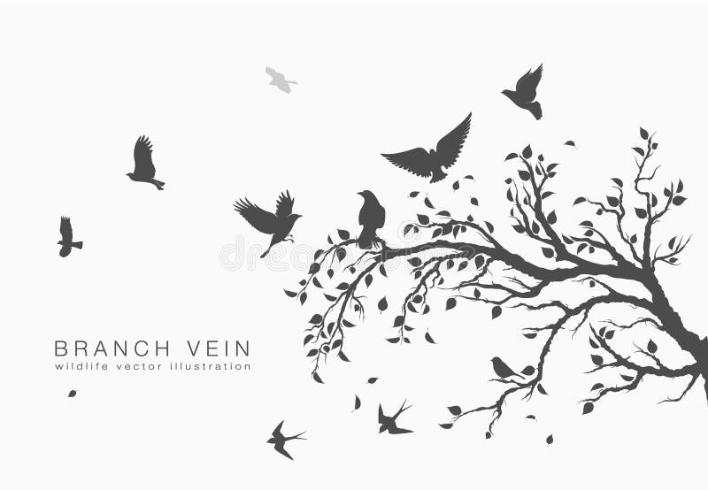 Flock Flying Birds Tree Branch Tree Stock Illustrations – 592 Flock ...