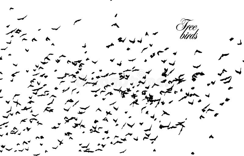 A Flock of Flying Birds. a Large Flock of Flying Crows. Vector ...