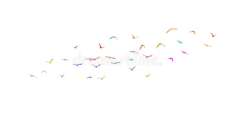 A Flock of Colored Birds. Vector Illustration Stock Illustration ...