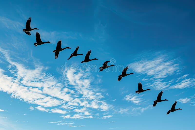 Flock of Migratory Birds in V-Formation Stock Illustration ...
