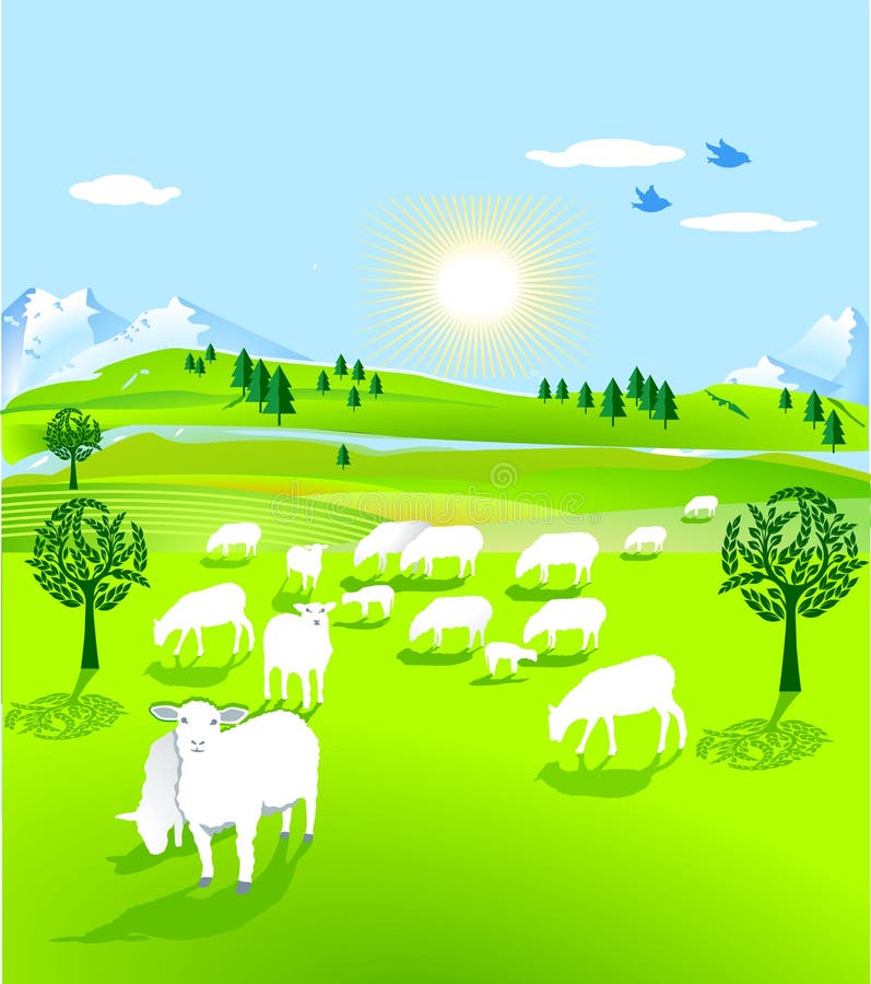Flock of sheep in farm stock illustration. Illustration of environment ...