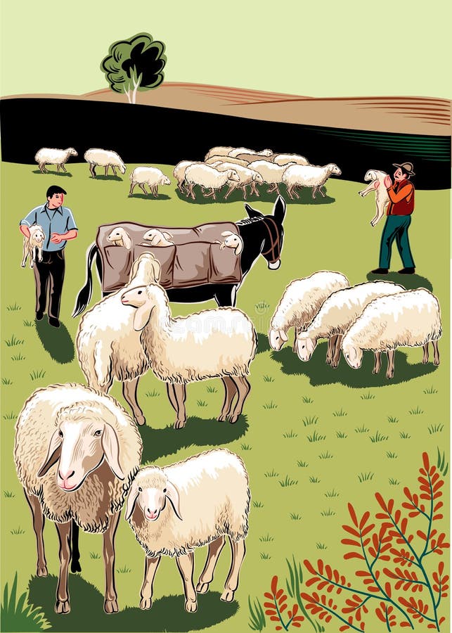 Flock of sheep stock illustration. Illustration of sheep - 87872657