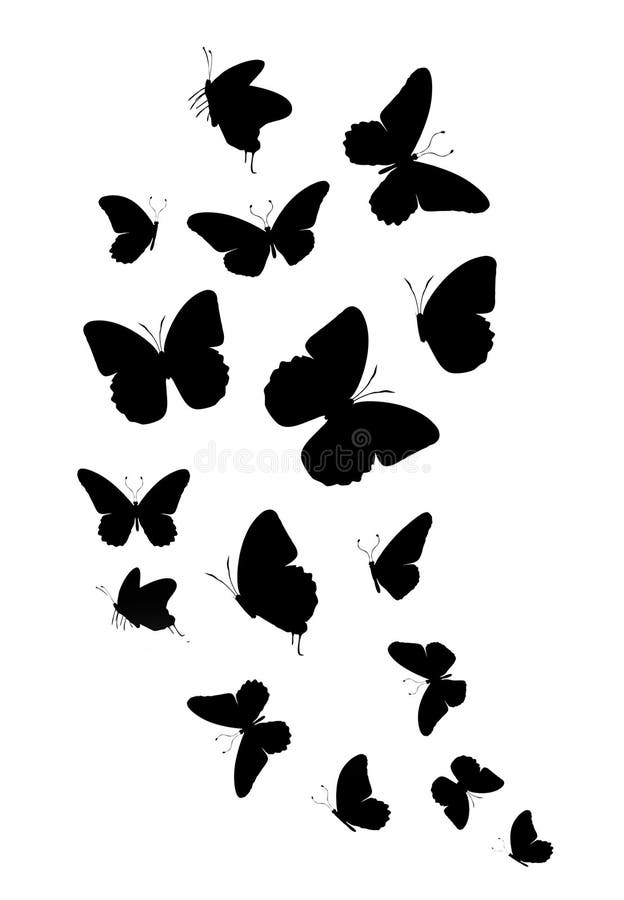 Silhouette Black Fly Flock Butterflies Stock Illustrations – 81 ... Silhouette Black Fly Flock Butterflies Stock Illustrations – 81 ...