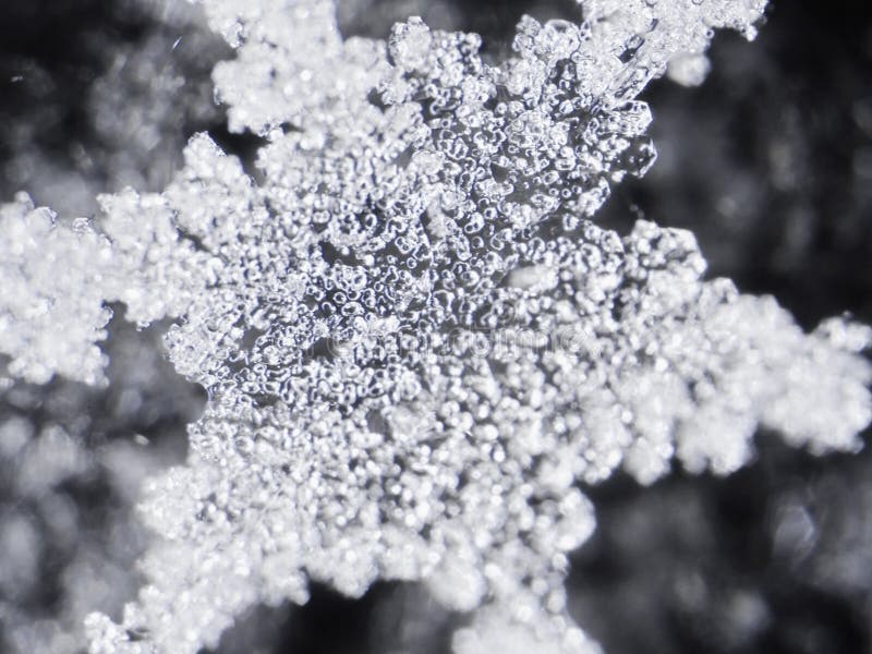 Floco de neve real imagem de stock. Imagem de closeup - 75447749