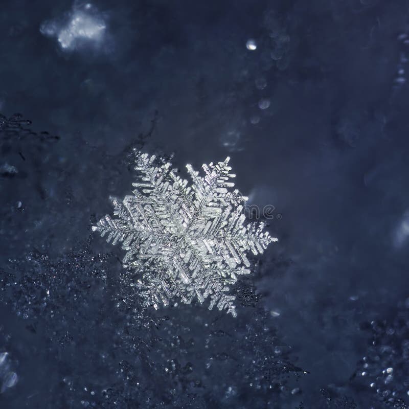 Floco de Neve Genuíno imagem de stock. Imagem de snowflakes - 38637689
