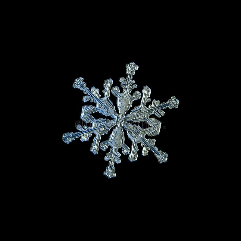 Floco De Neve Real Isolado No Fundo Preto Foto de Stock - Imagem de ...