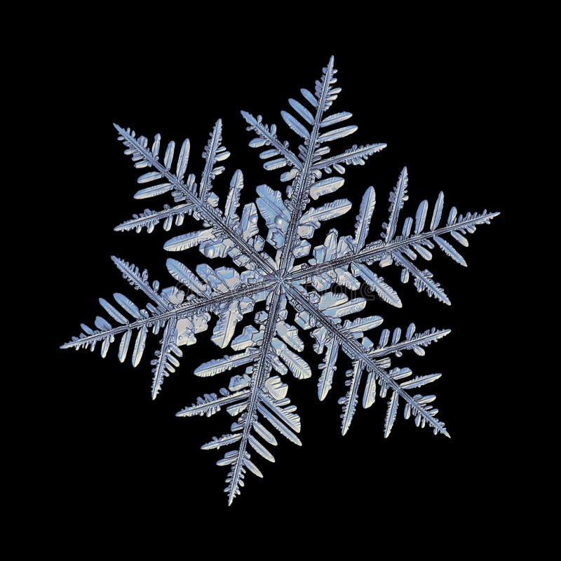 Floco De Neve Real Isolado No Fundo Preto Foto de Stock - Imagem de ...