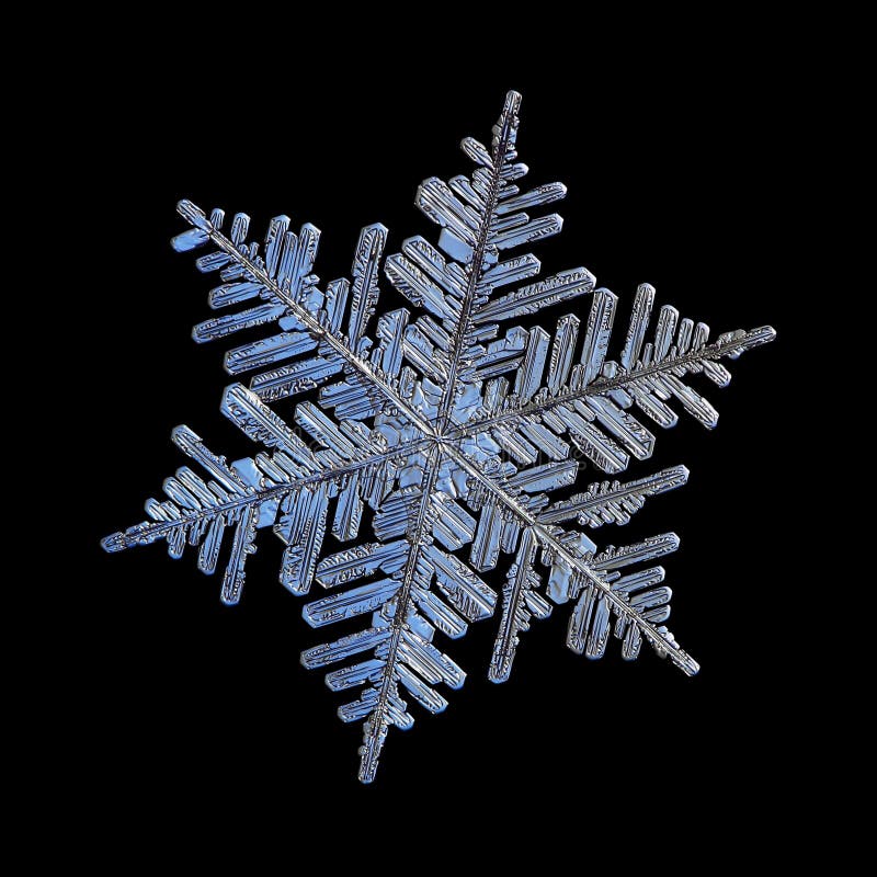 Floco De Neve Real Isolado No Fundo Preto Imagem de Stock - Imagem de ...