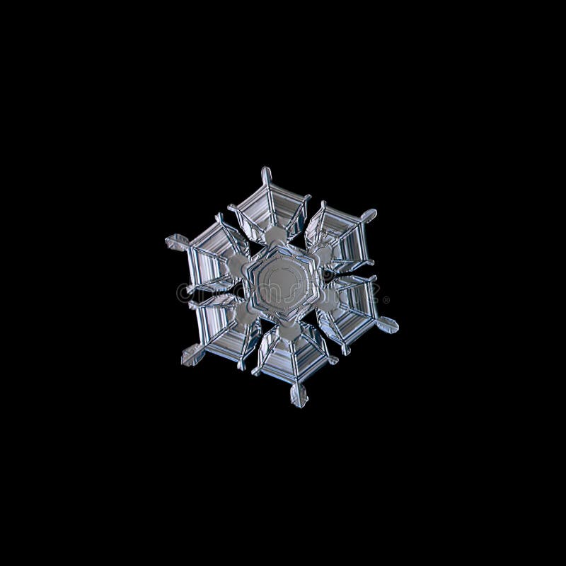 Floco De Neve Real Isolado No Fundo Preto Imagem de Stock - Imagem de ...