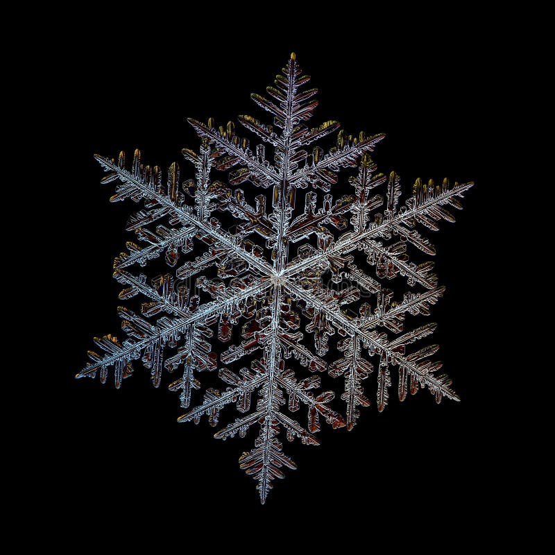 Floco De Neve Preto Fotos De Stock - Baixe 3,509 Fotos Royalty Free