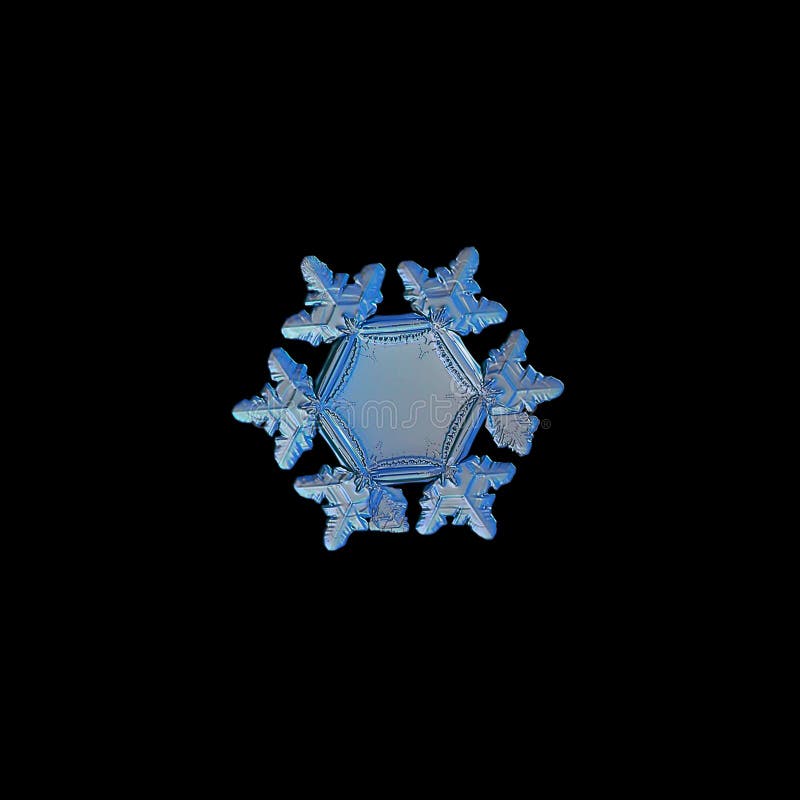 Floco De Neve Real Isolado No Fundo Preto Foto de Stock - Imagem de ...