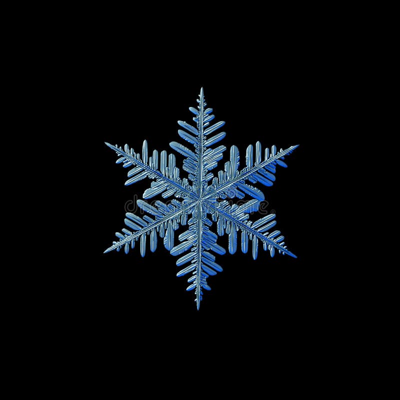 Floco De Neve Real Isolado No Fundo Preto Imagem de Stock - Imagem de ...