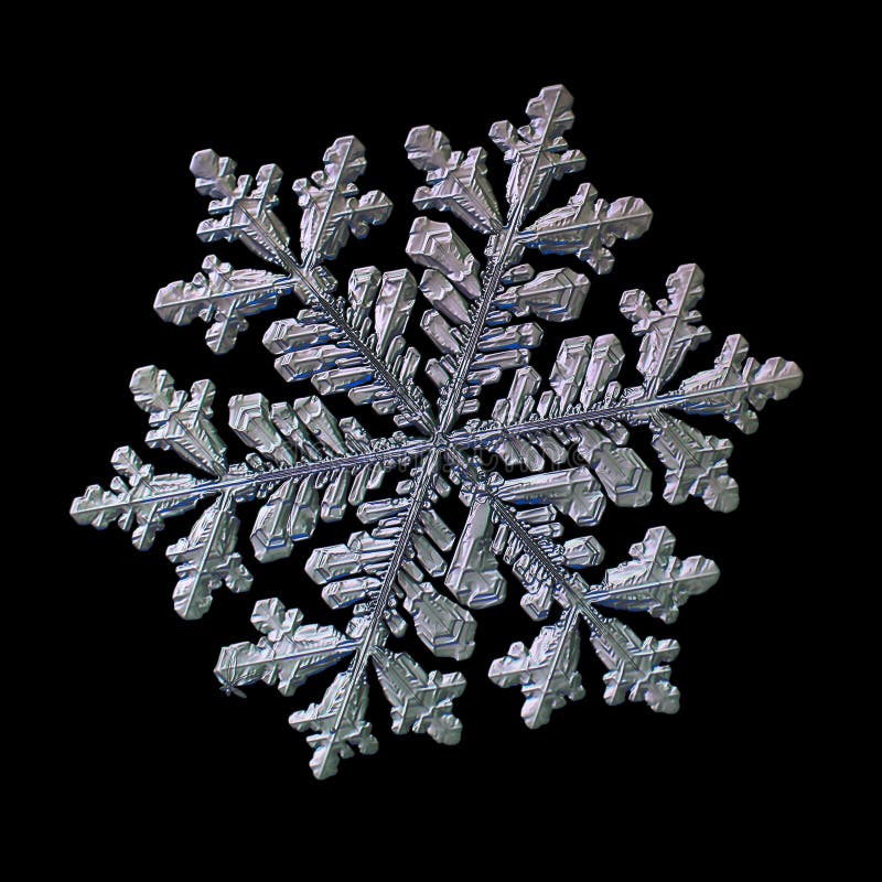 Floco De Neve Preto Fotos De Stock - Baixe 3,509 Fotos Royalty Free