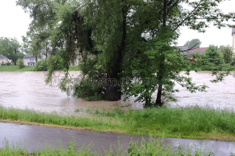 Översvämning redaktionell arkivbild. Bild av regnigt - 31367022