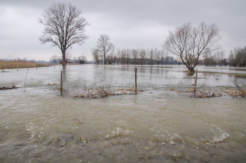 Flod arkivfoto. Bild av katastrof, vatten, fara, stolpar - 34269086