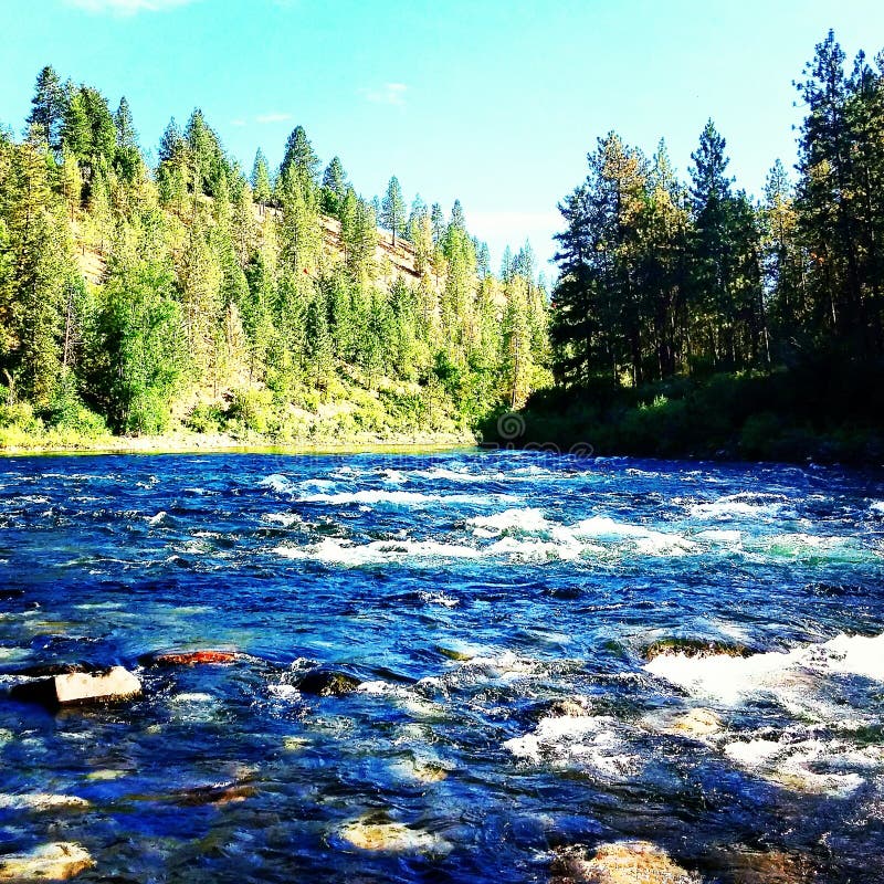 Flod arkivfoto. Bild av talang, sommar, flod - 48048382