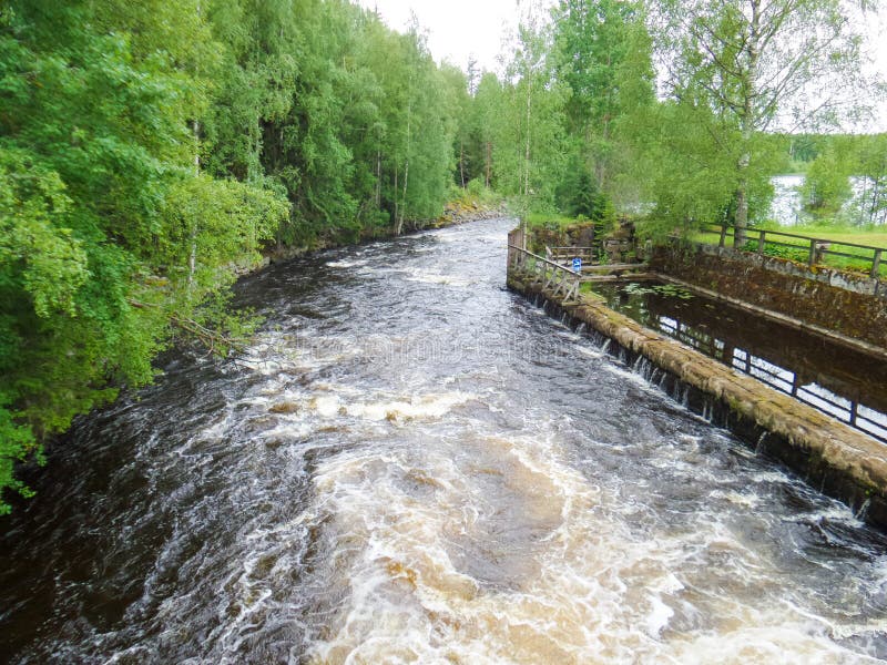 Flod fotografering för bildbyråer. Bild av grön, sommar - 51207311