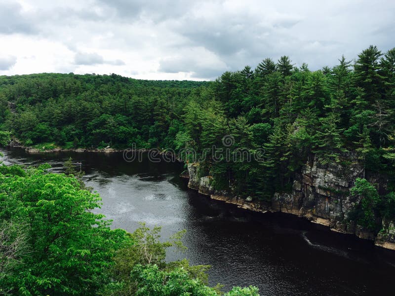 Flod fotografering för bildbyråer. Bild av djungel, träd - 72561795