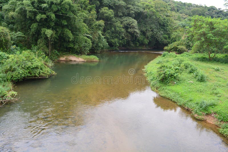 Flod i en skog arkivfoto. Bild av floder, skog, ställe - 109411218