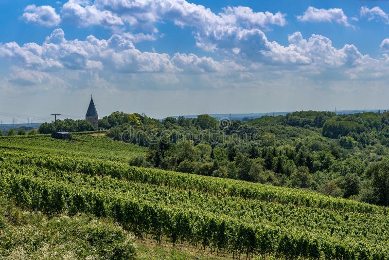 Floersheimer Warte, Viewpoint in the Vineyards of Wicker Stock Image ...