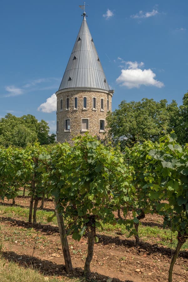 Floersheimer Warte, Viewpoint in the Vineyards of Wicker Stock Photo ...