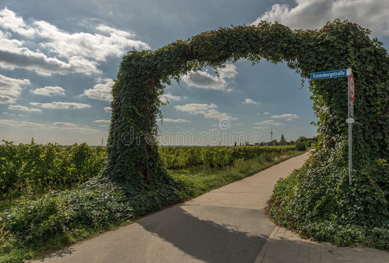 Floersheimer Warte, Viewpoint in the Vineyards of Wicker Stock Image ...