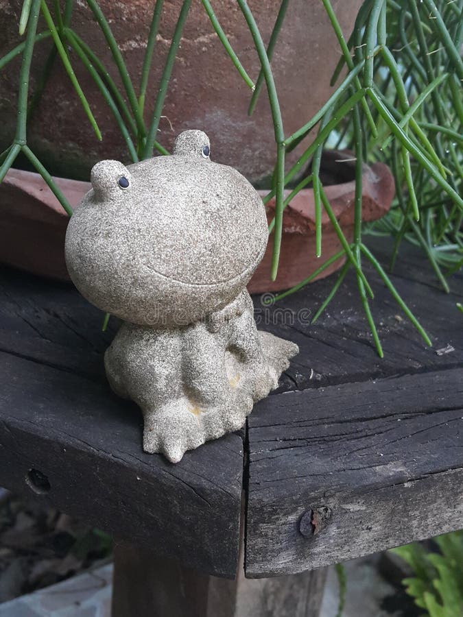 Flog on the table stock image. Image of gardent, tree - 68820227