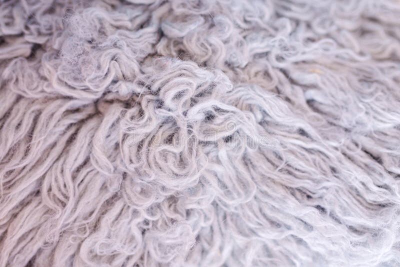 Flokati Wool Background, Natural Wool Stock Photo - Image of decoration ...