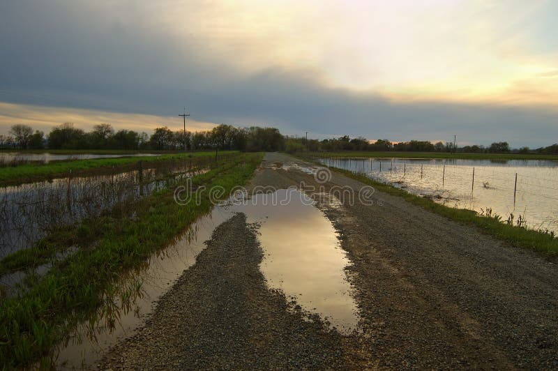 After the flood stock image. Image of pasture, water, northern - 676307
