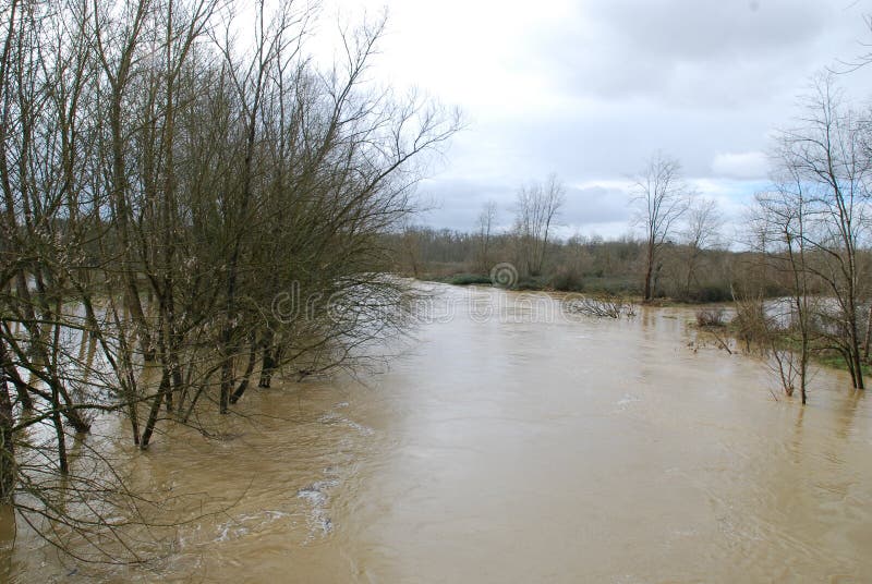 Flood in the countryside stock image. Image of flowing - 38429933