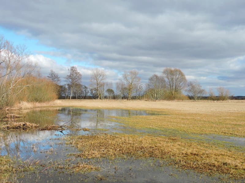 Flood in Fields. Lithuanian Spring Landscape Stock Photo - Image of ...