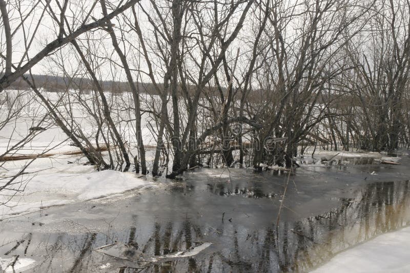 Flood, Flooding of the Coastline in the Spring Stock Photo - Image of ...