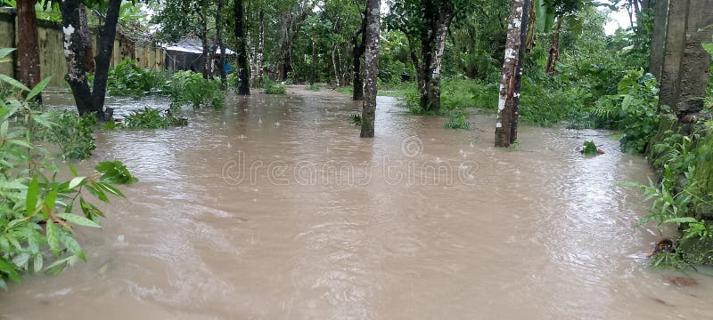 The Flood Inundated the House Stock Image - Image of flood, floods ...